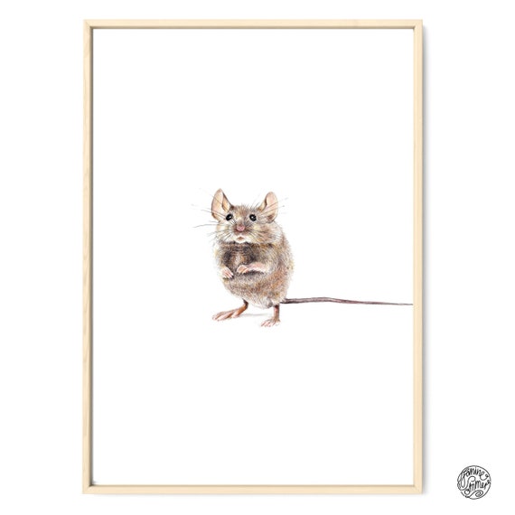 Illustration House Mouse Drawing Fine Art Print Giclée Print | Etsy