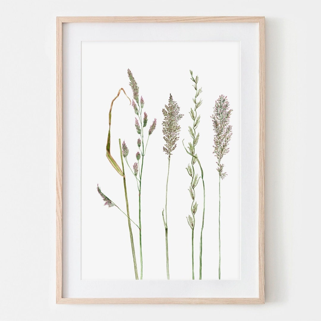 4 Wild Grasses, Drawing, Fine Art Print, Traditional Work, Watercolor ...
