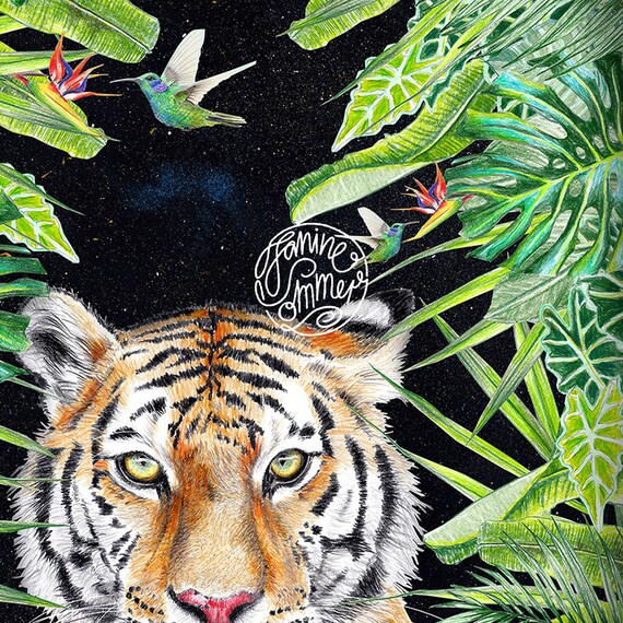 Tiger In The Jungle Drawing