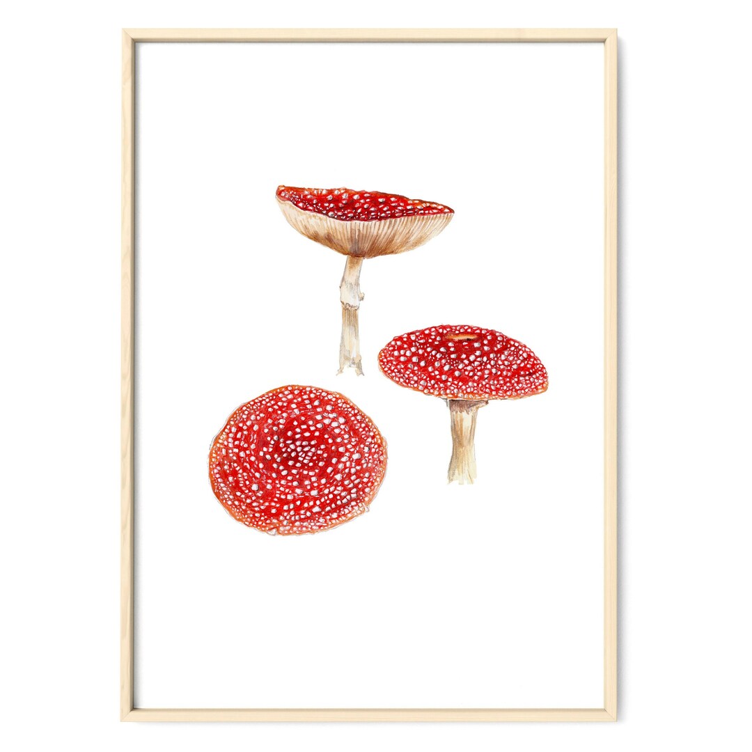3 Toadstools Watercolor Drawing Poster Fine Art Print Giclée - Etsy