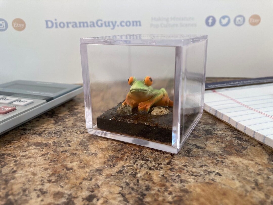 Frog 2 Inch Decorative Diorama Cube - Etsy