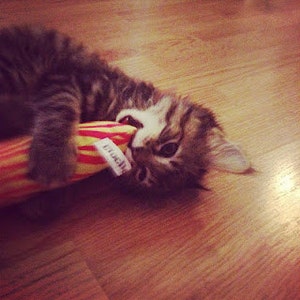 Batik Kickin Stick Cat Toy (1)| Handmade Cat Toys|catnip Cat Toys|kitty ...