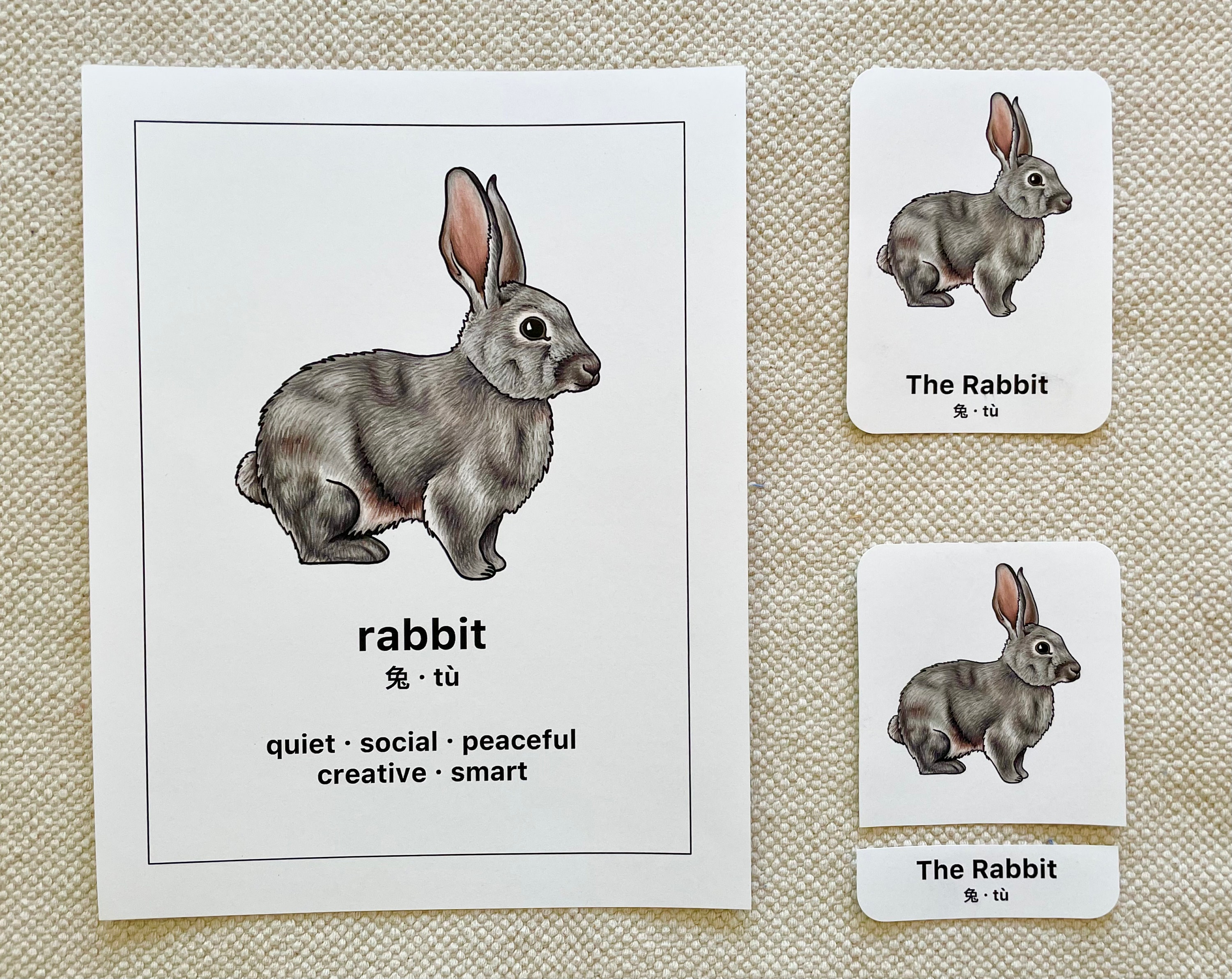 Bilingual Parts of a Rabbit Montessori Chinese Lunar New Year Year of ...