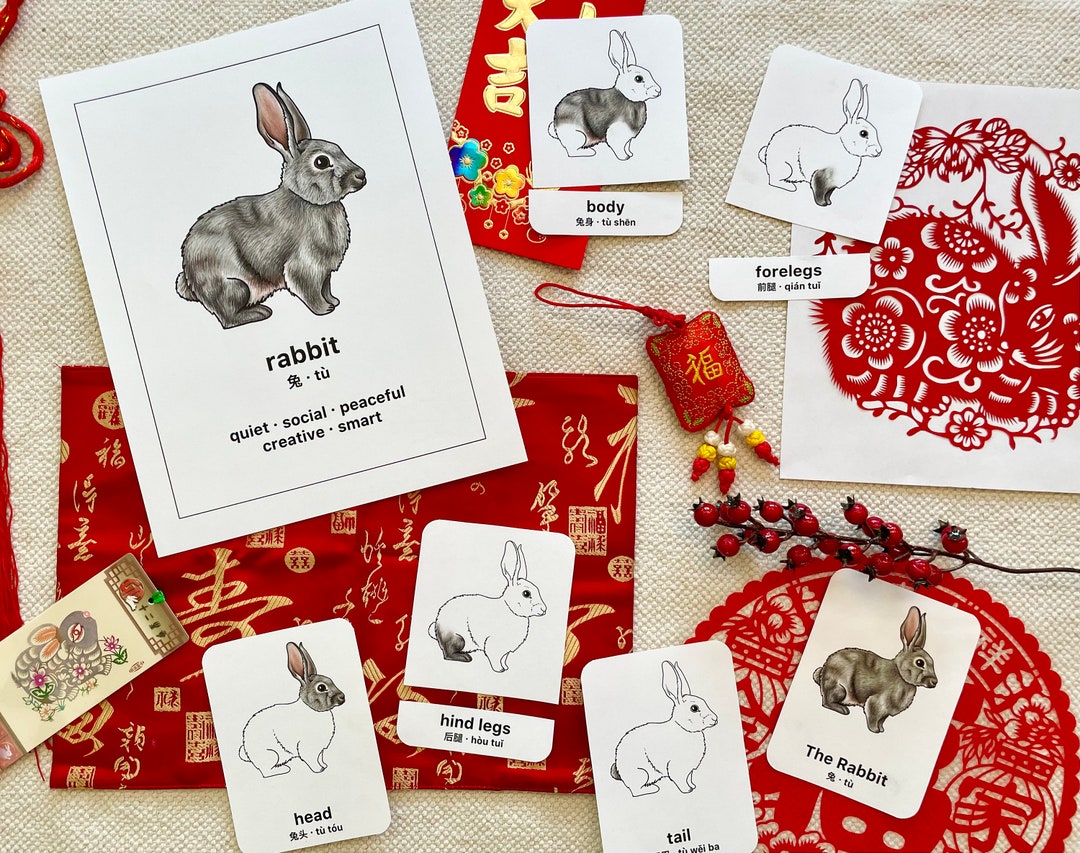 Bilingual Parts of a Rabbit Montessori Chinese Lunar New Year Year of ...