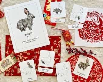 Montessori 3 Part Cards- Parts of a Rabbit - Etsy