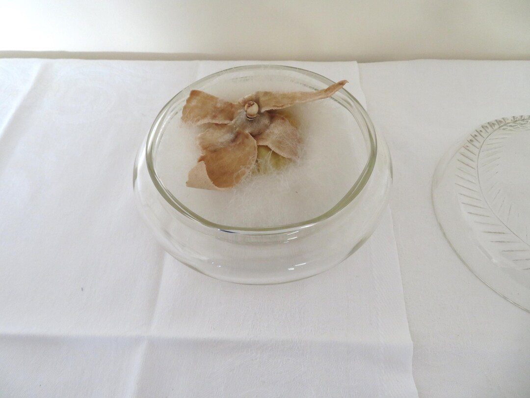 Vintage Large Lead Crystal Powder Bowl & Swans Down Powder Puff, Silk ...