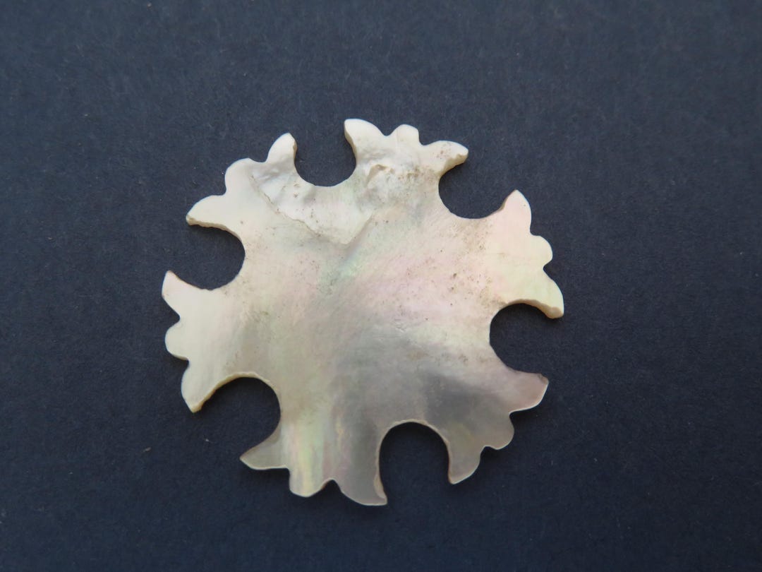 Antique Hand Carved Mother of Pearl Snowflake Shape Silk/thread Winder ...