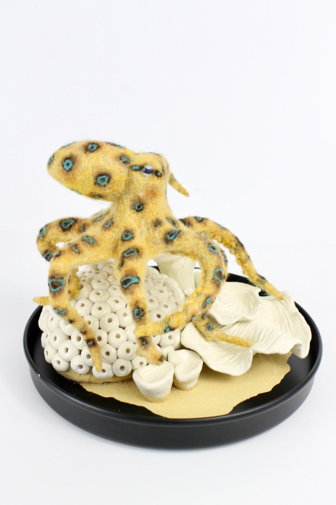 Blue Ringed Octopus, Octopus Art, Octopus Home Decor, Needle Felted ...