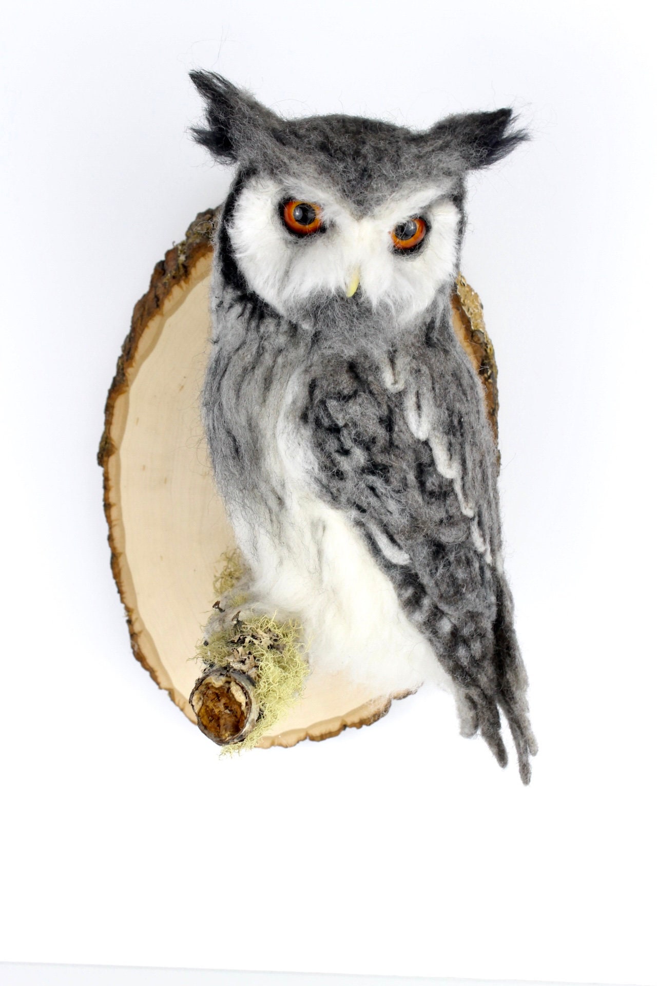 Needle Felted Owl, Life Size Owl, Faux Taxidermy - Etsy