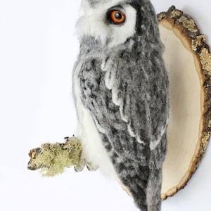 Needle Felted Owl, Life Size Owl, Faux Taxidermy - Etsy