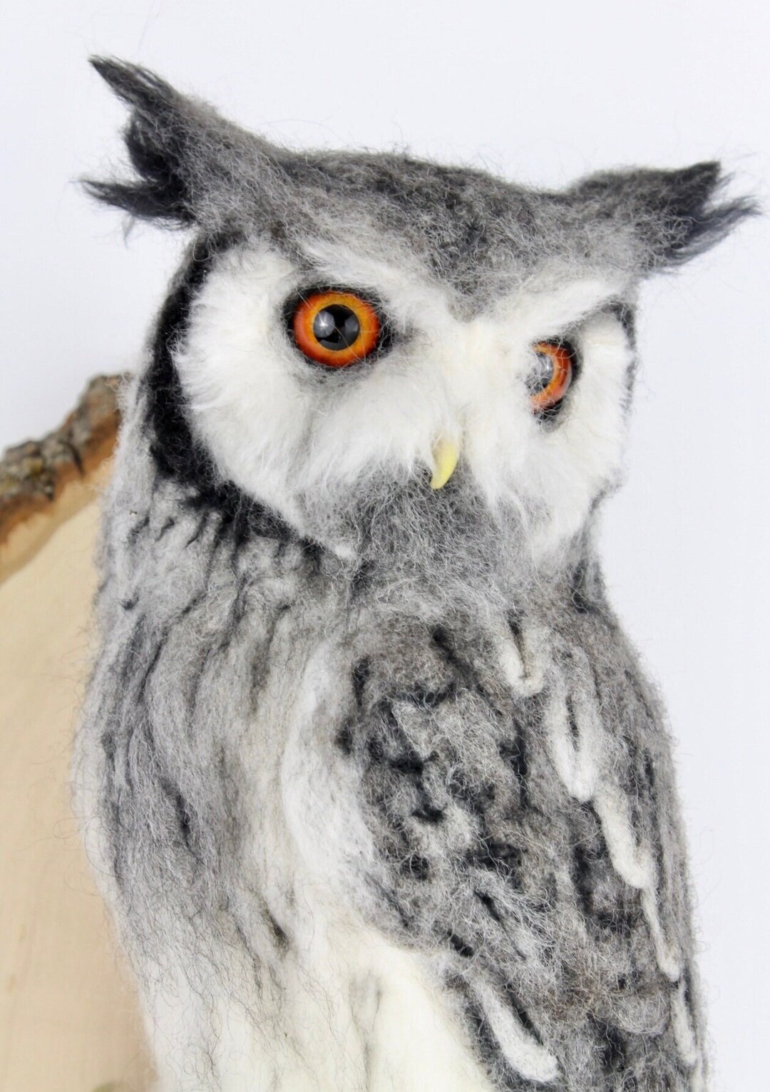 Needle Felted Owl, Life Size Owl, Faux Taxidermy - Etsy