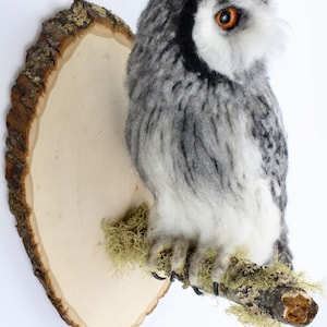 Needle Felted Owl, Life Size Owl, Faux Taxidermy - Etsy