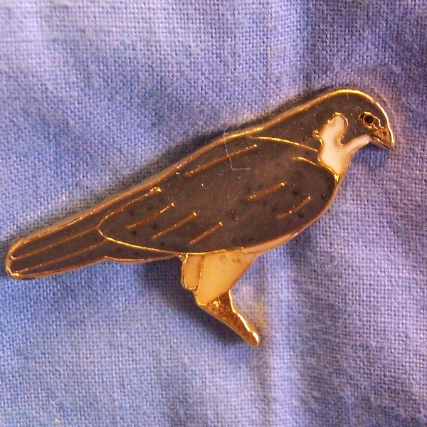 Peregrine Falcon - Etsy