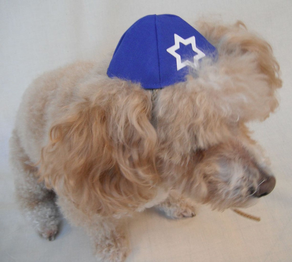 Yarmulke Kippah for Pets: Dogs and Cats - Etsy