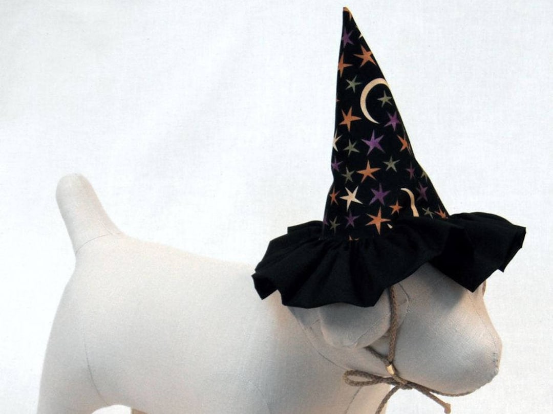 Pet Witch Hat: Black Star & Moon Halloween Costume - Etsy