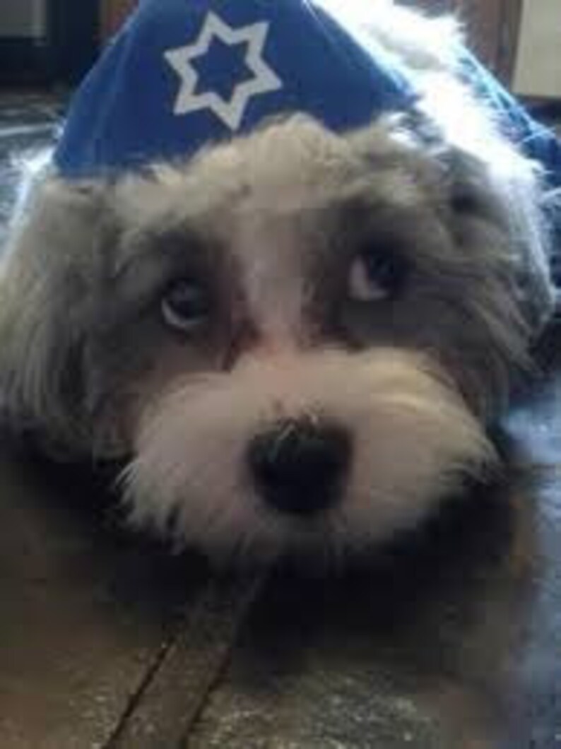 Yarmulke Kippah for Pets: Dogs and Cats - Etsy