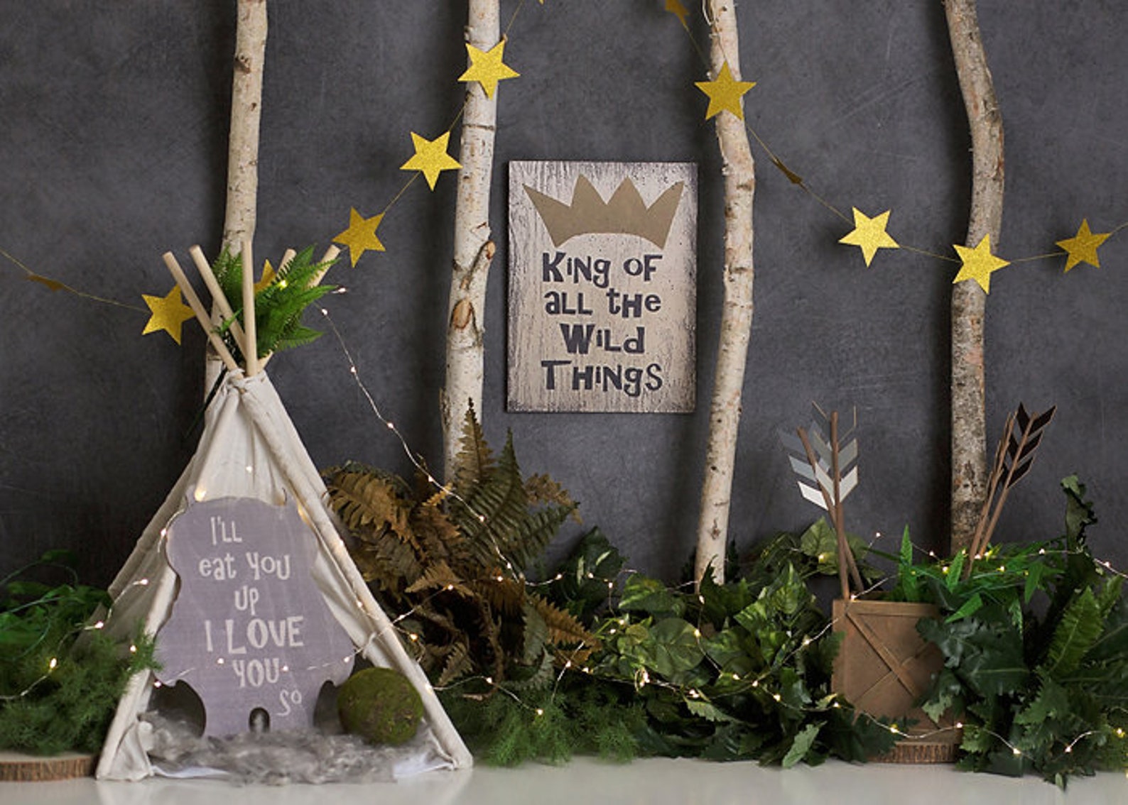 Wild One - Printed Photography Backdrop - Wild Ones Cake Smash - First ...