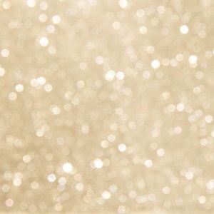 Dazzle - Printed Photography Backdrop - Influencer Backdrop - Winter ...