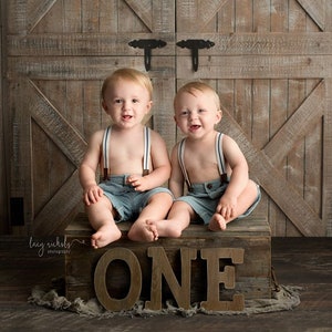 Blaine - Printed Photography Backdrop - Rustic Barn Wood Door ...