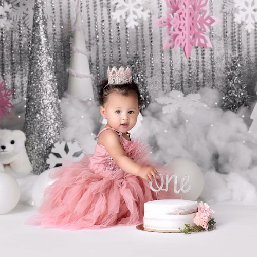 Onederland Printed Photography Backdrop Winter Onederland - Etsy