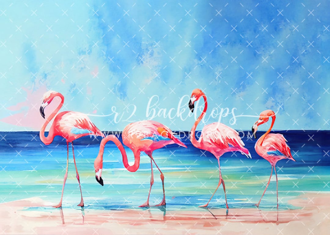 Flamingo - Printed Photography Backdrop - Summer Backdrop - Beach ...