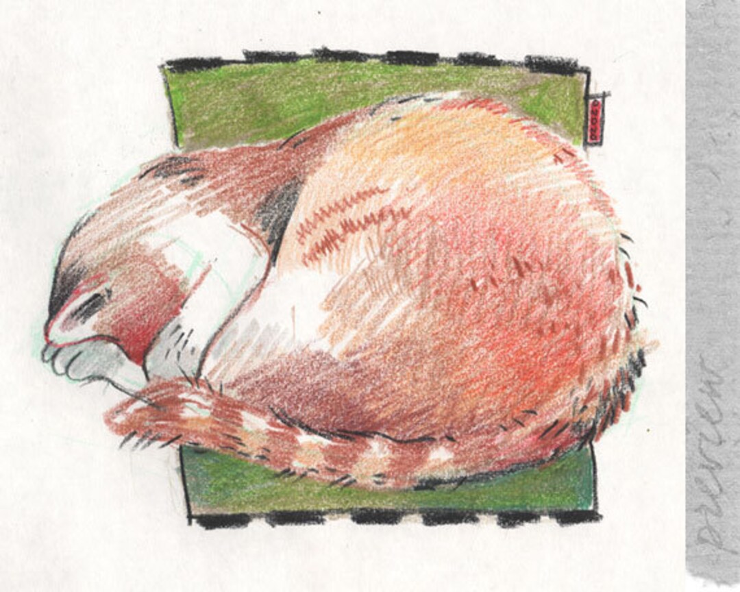 The Sleeping Red Mumu, the Muse - Etsy