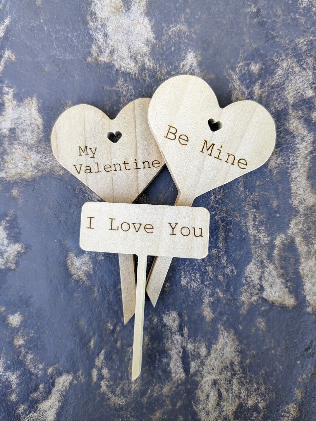 Succulent Plant Sign - Etsy