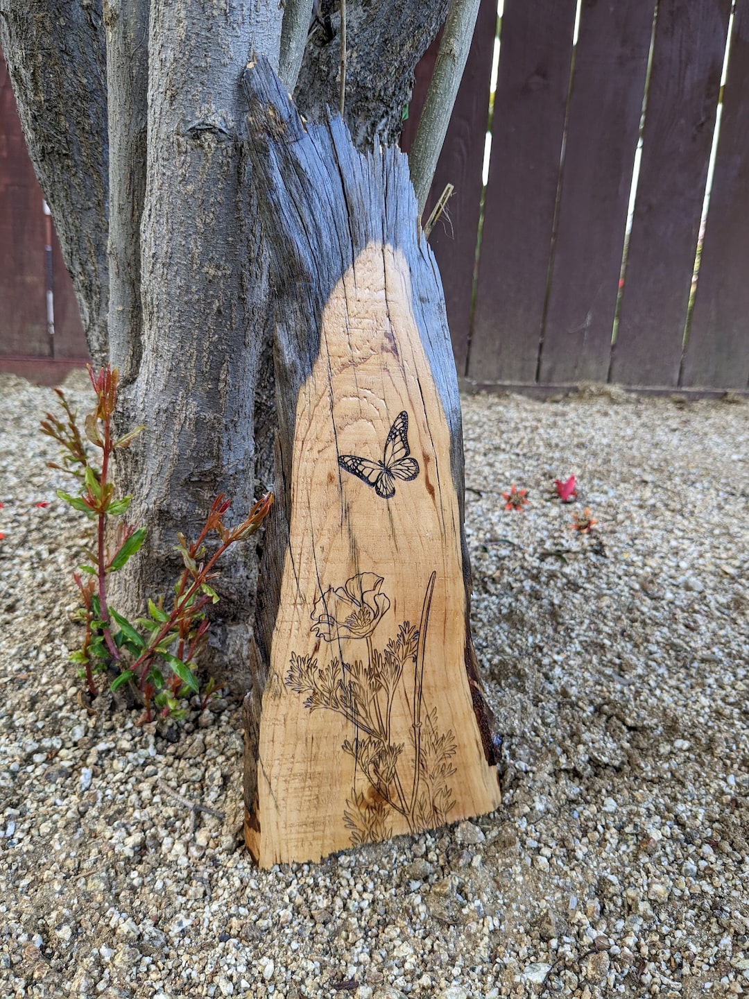 Poppy & Butterfly - Live Edge Cedar - Etsy