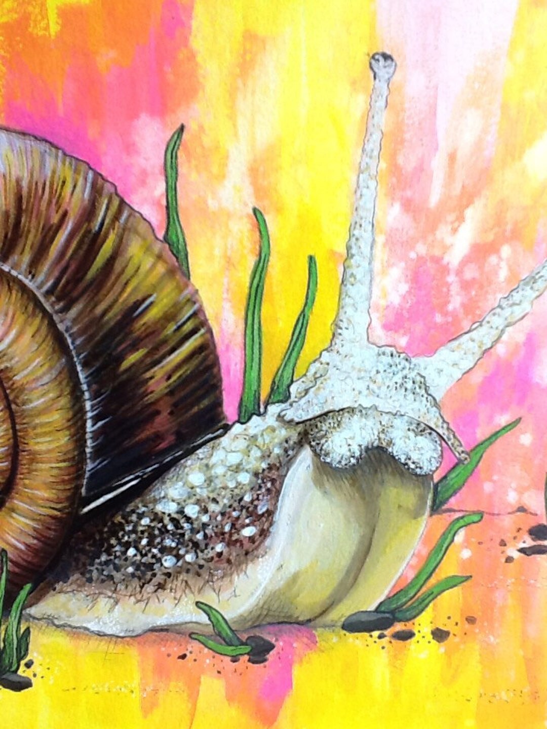 Psychedelic Dream Snail Original Painting - Etsy