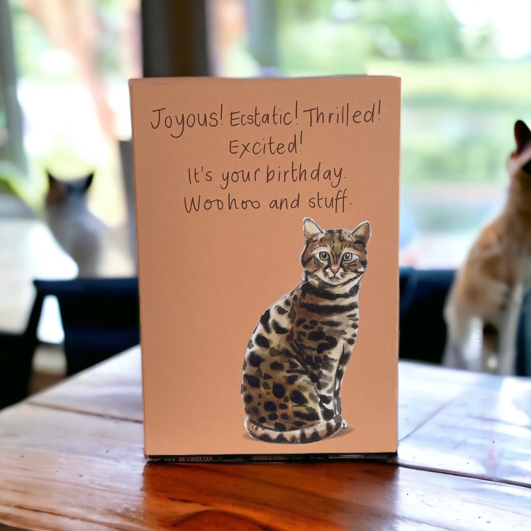 Snarky Cat Birthday Card Sarcastic Excited Cat Mum Birthday - Etsy