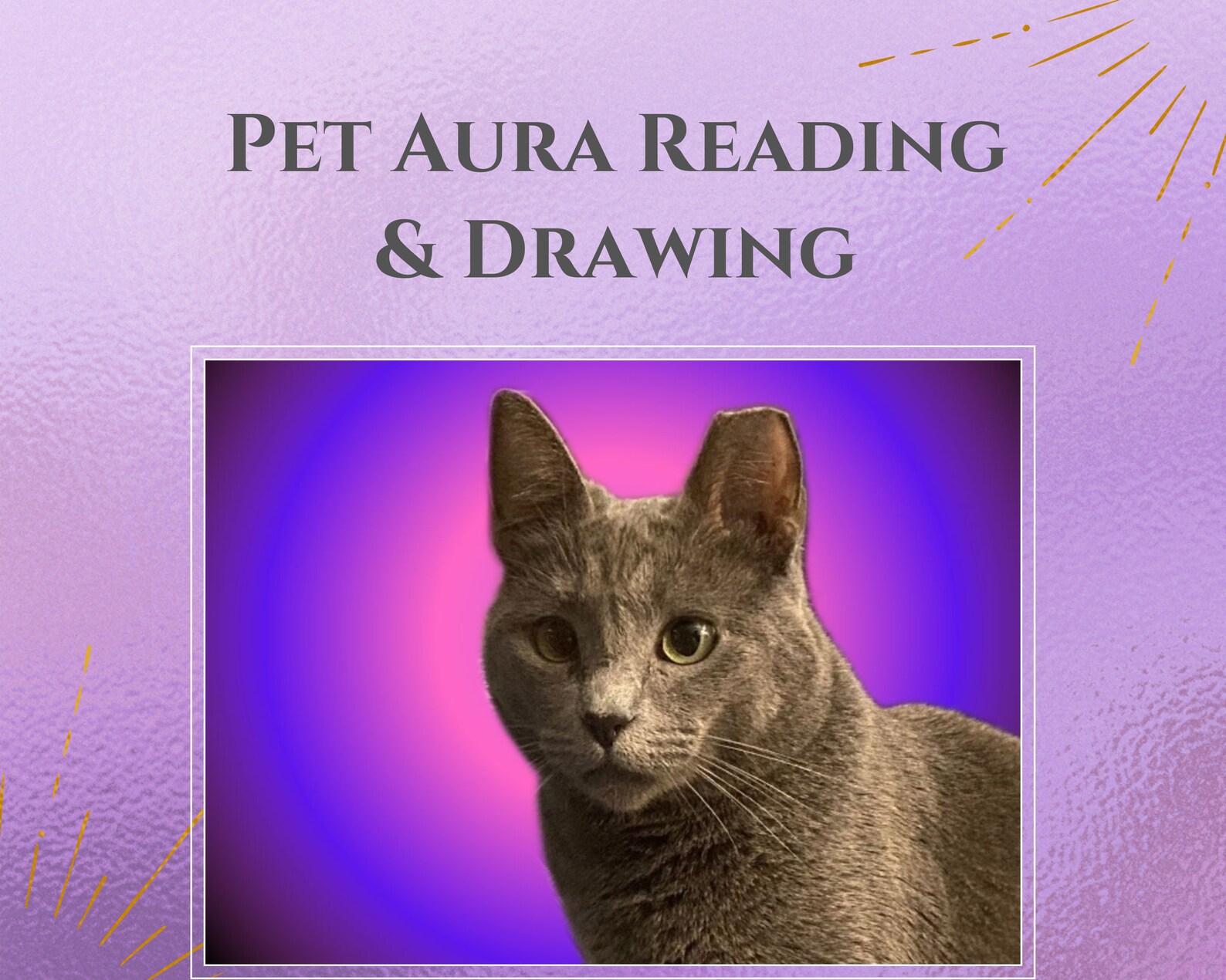 Pet Aura Reading With Aura Drawing by Zelda Barrons Aura Colors Colores ...