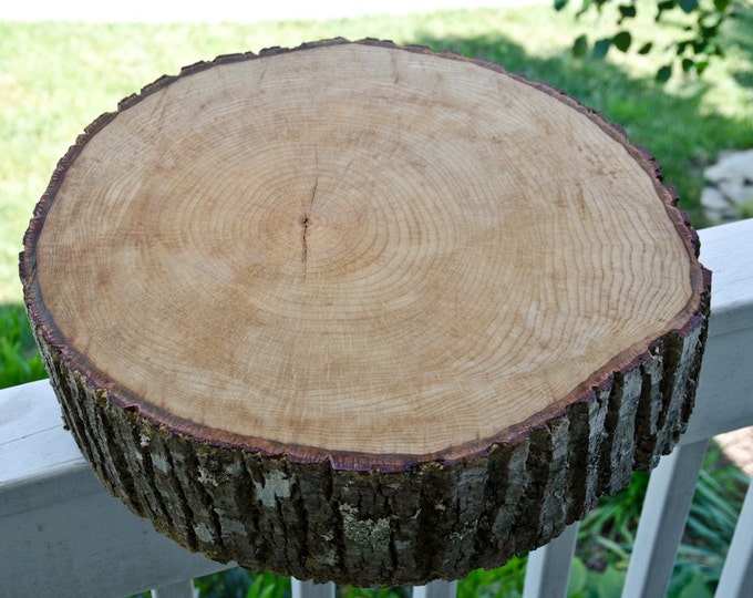 SALE Rustic Wood Slab From Tree Slice From Tree Trunk Perfect for ...