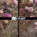 10 Floral Fine Art Textures, Flower Background, Photoshop Overlays ...