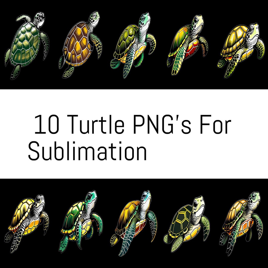 Turtle Png Sublimation Design, Turtle Png, Sea Animal Png, Turtle ...