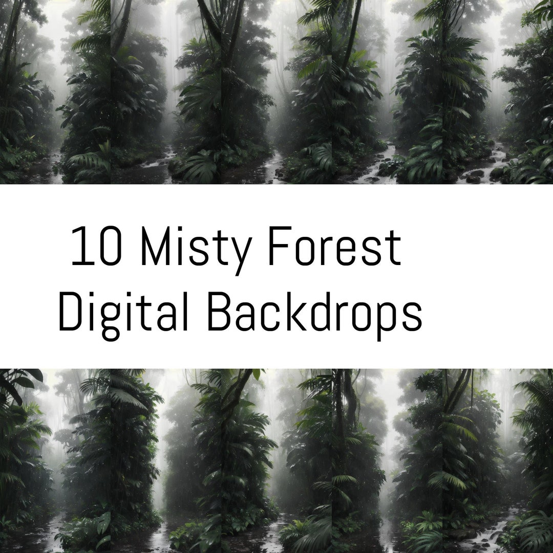 10 Misty Forest Digital Backdrop Enchanted Woods Background Foggy Trees ...