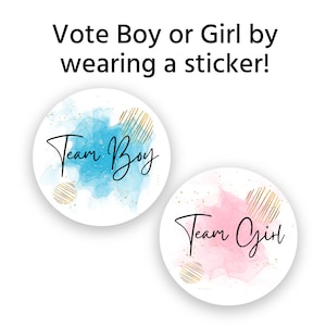 Team Boy & Team Girl Stickers for Gender Reveal Vote Water Color Pink ...