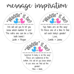 Set of 2 Waddle It Be? Rubber Duck Gender Reveal Fizz by Mail ...