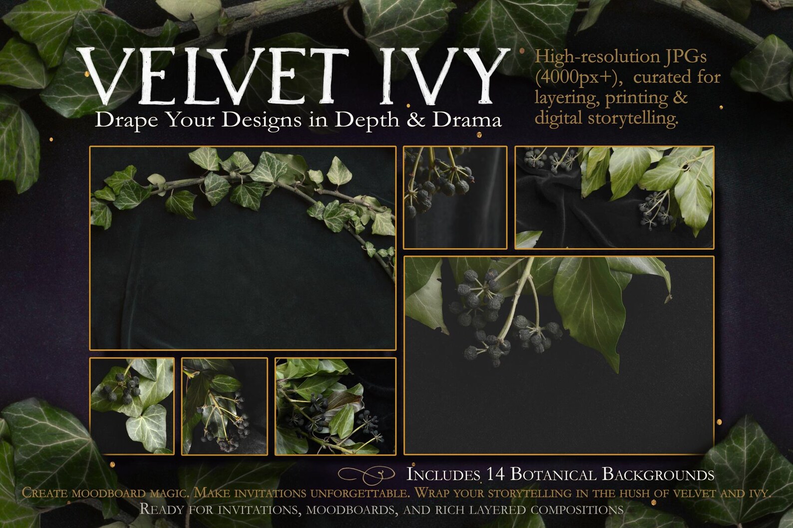 Velvet Ivy – Botanical Backgrounds | Gold Calligraphy Pngs | Moody ...