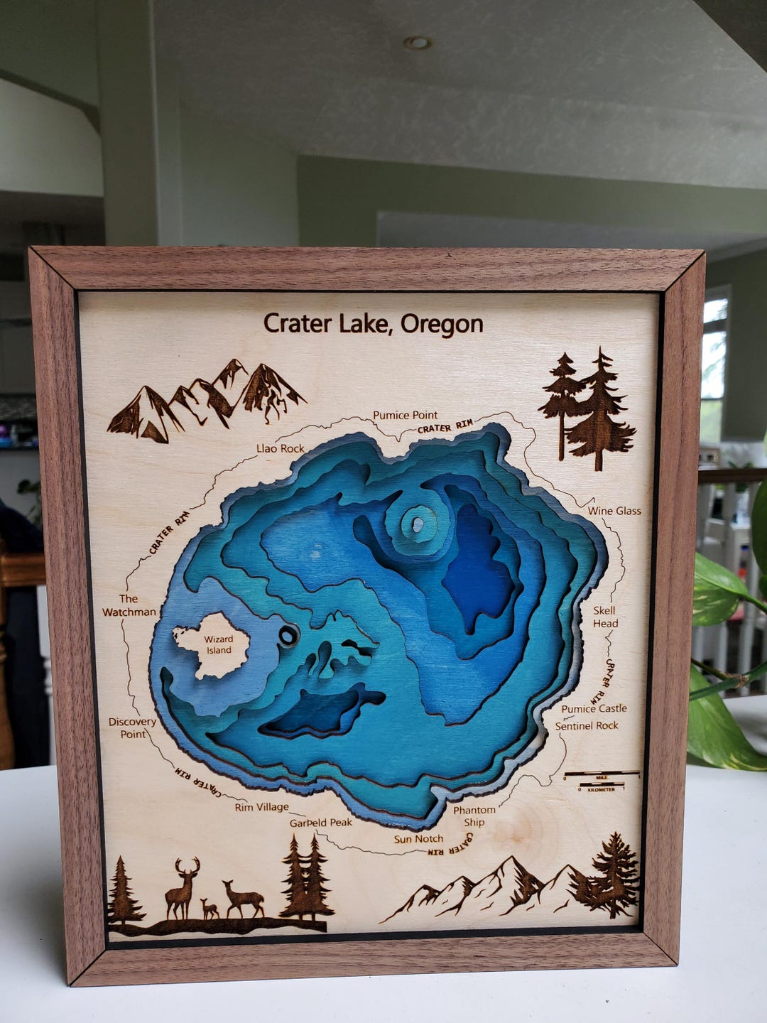 Custom 3D Bathymetric Depth Map on Wood, Any Lake, Lagoon, Coastline ...