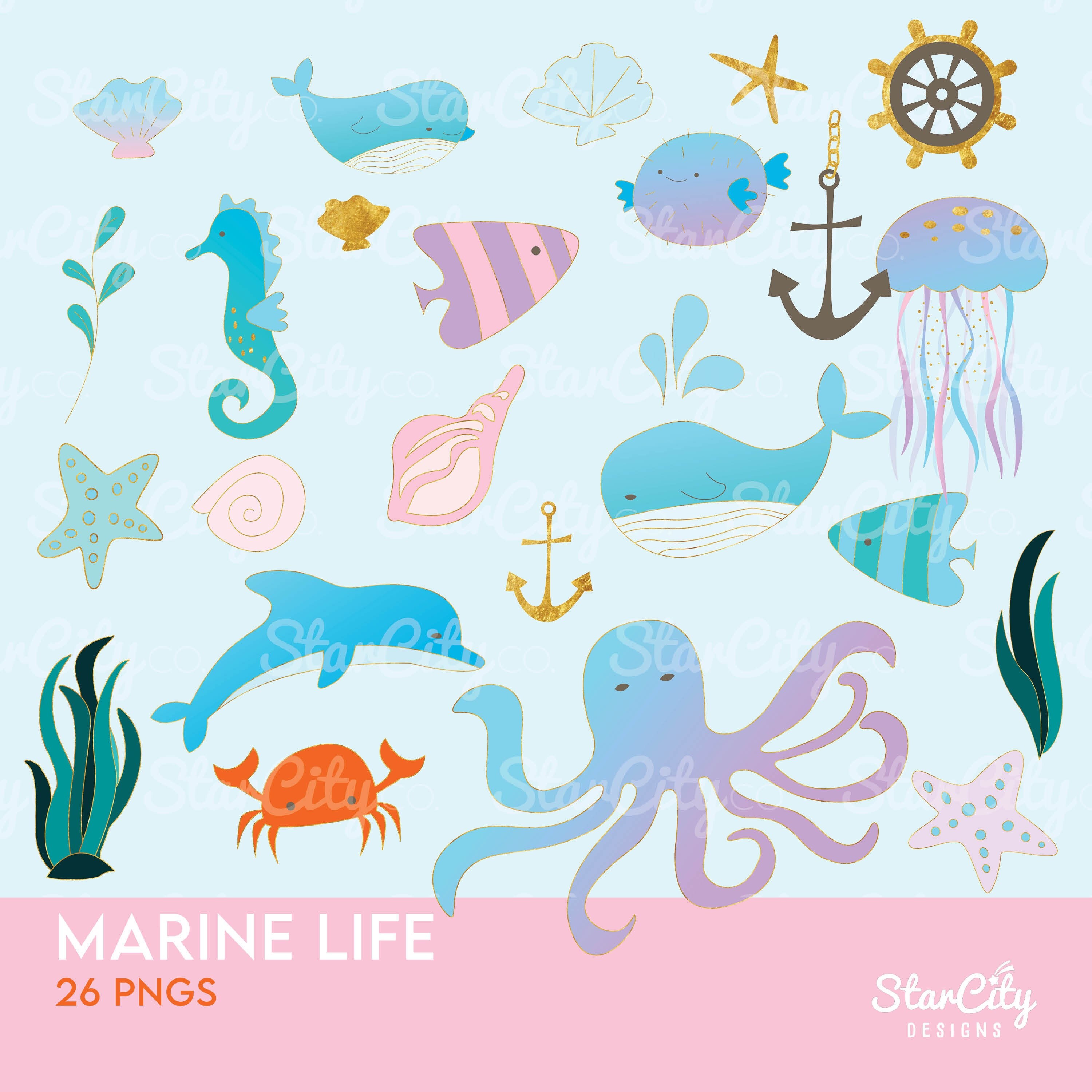 Marine Life Clipart Ocean Clipart Hand Drawn Clipart PNGS - Etsy