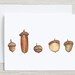 Acorns Note Card, Autumn Watercolor Stationary Set, Fall Card Set of 4 ...