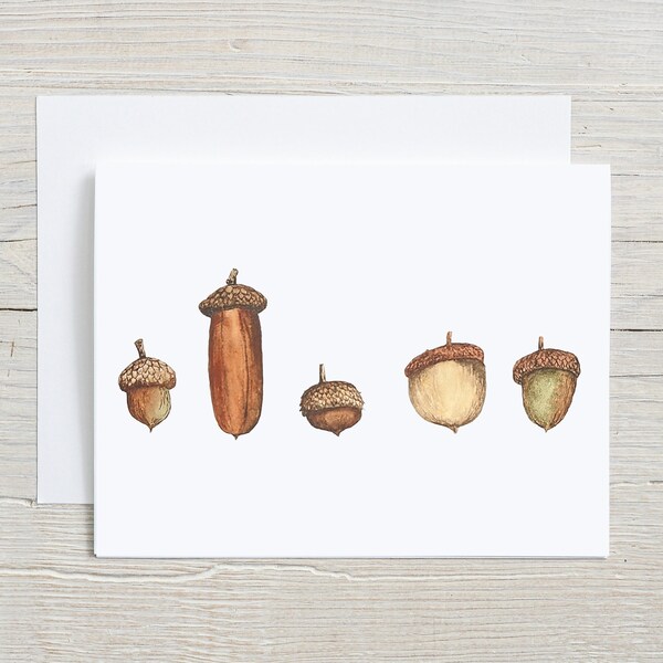 Acorn Watercolor - Etsy