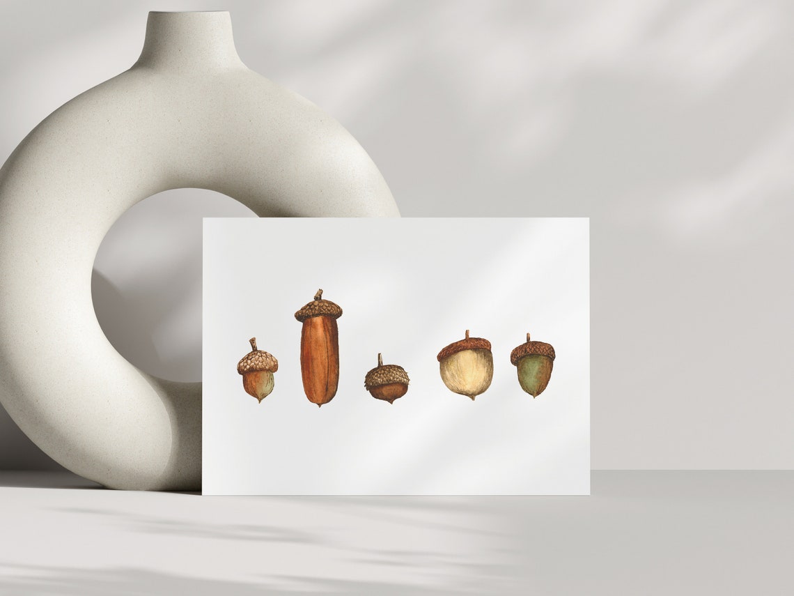 Acorns Note Card Autumn Watercolor Stationary Set Fall Card - Etsy