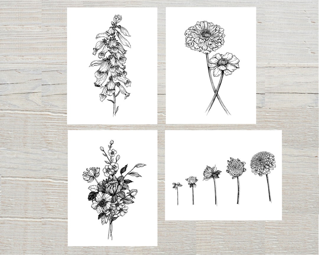 Elegant Black and White Botanical Note Card Set – Floral Pen and Ink ...