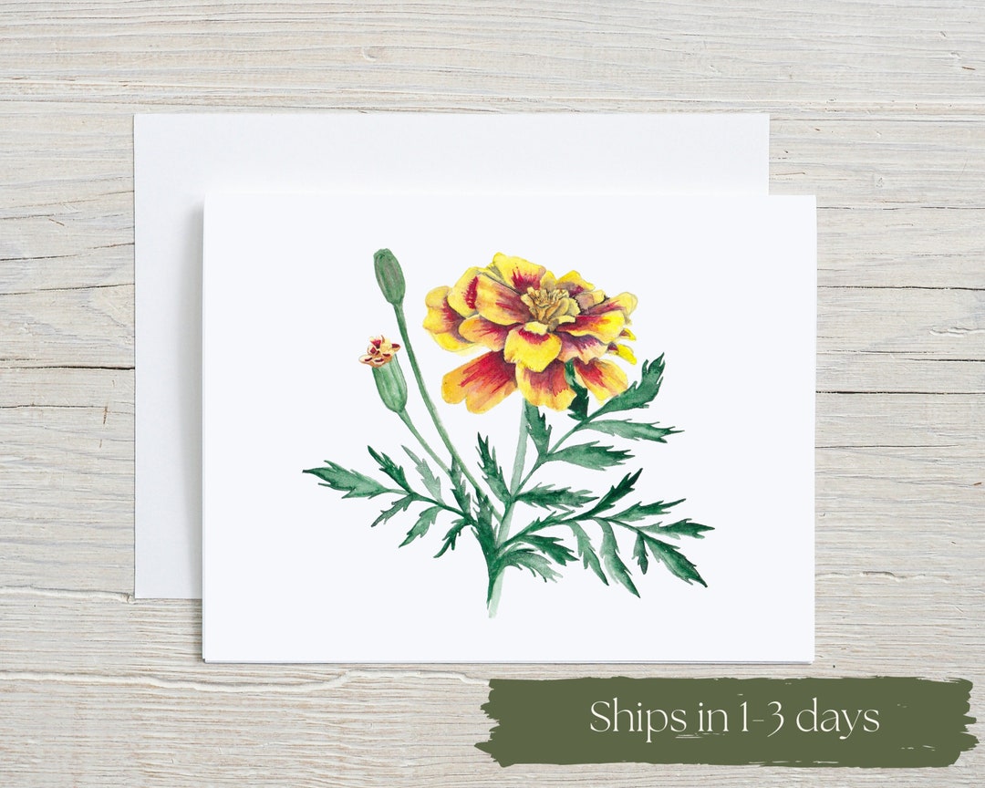 Marigold Card, Watercolor Marigold, Floral Greeting Cards, Botanical ...
