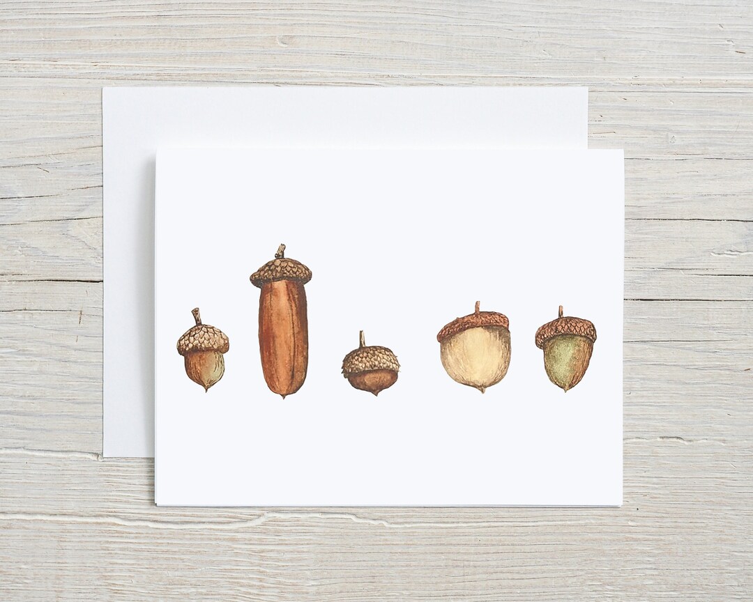 Acorns Note Card, Autumn Watercolor Stationary Set, Fall Card Set of 4 ...