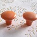 Italy Handles and Knobs in High Quality.knobs of Hard Plastic, Colored ...