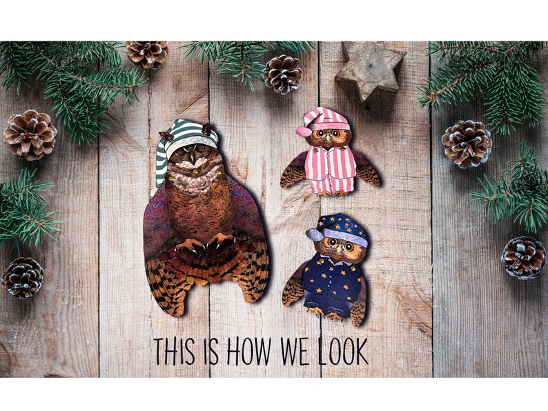 Articulated Printable Paper Owls Family, Digital Download, Paper Dolls ...