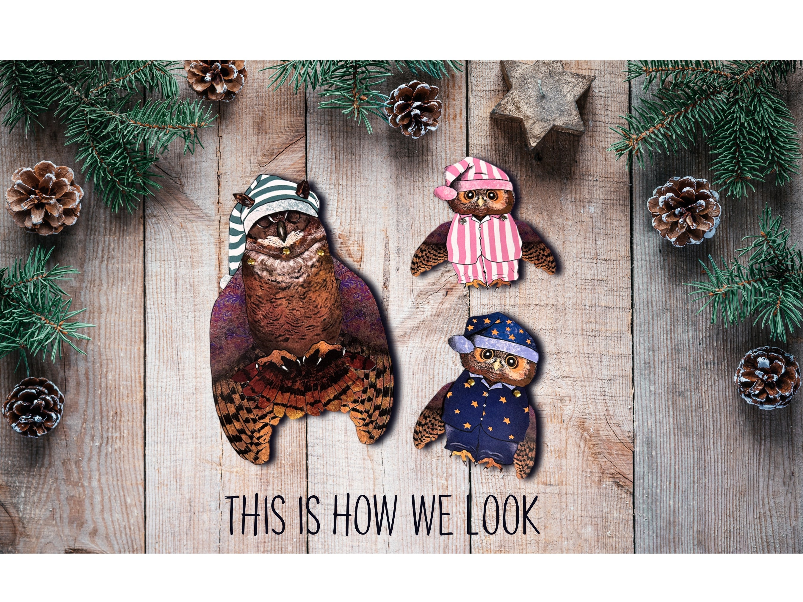 Articulated Printable Paper Owls Family, Digital Download, Paper Dolls ...