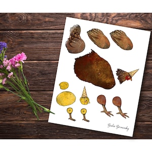 Articulated Printable Paper Chickens, Digital Download, Paper Dolls ...